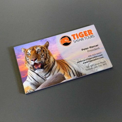 Matte Business Cards Toronto