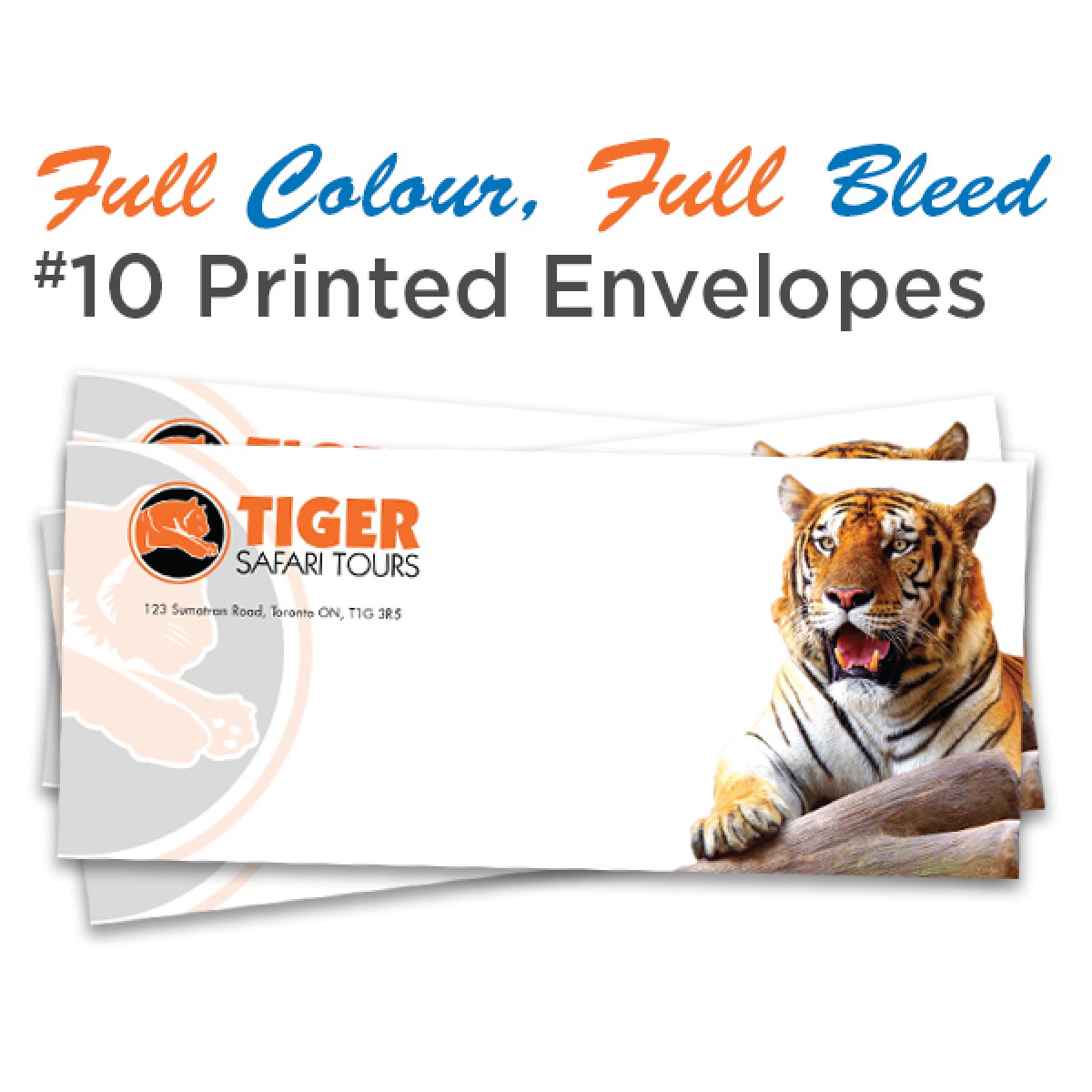 Full Colour #10 Printed Envelopes